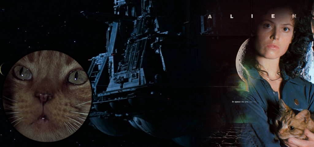 20 of the Best Cats in Horror - Horror Land - The Horror Entertainment ...