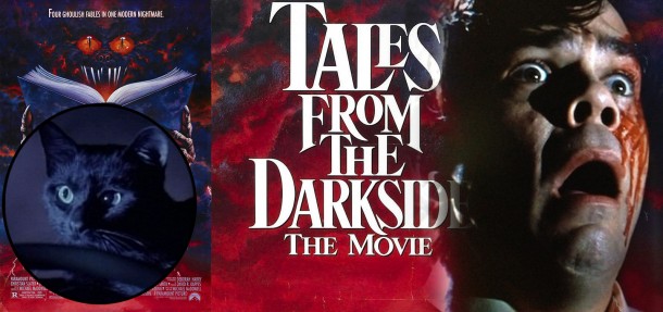 20 of the Best Cats in Horror - Horror Land - The Horror Entertainment ...