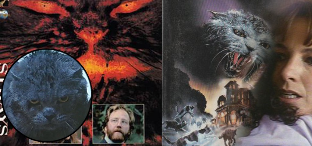20 of the Best Cats in Horror - Horror Land - The Horror Entertainment ...