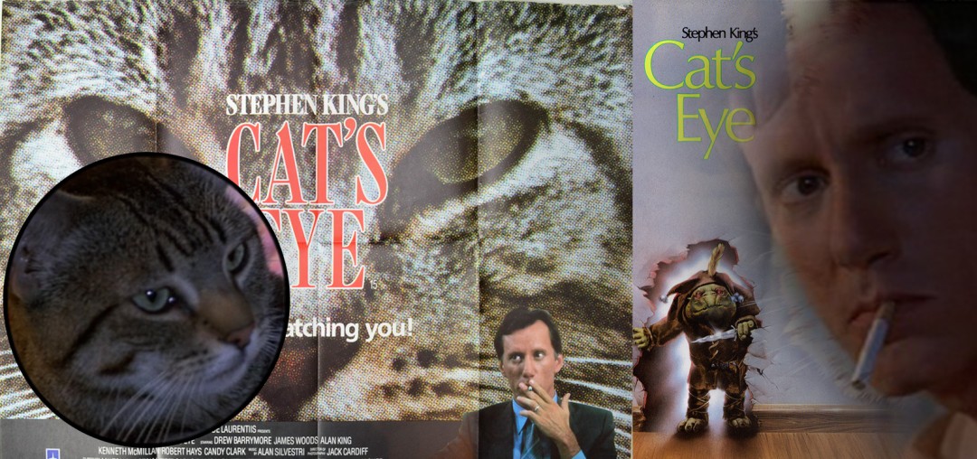 20 of the Best Cats in Horror - Horror Land - The Horror Entertainment ...