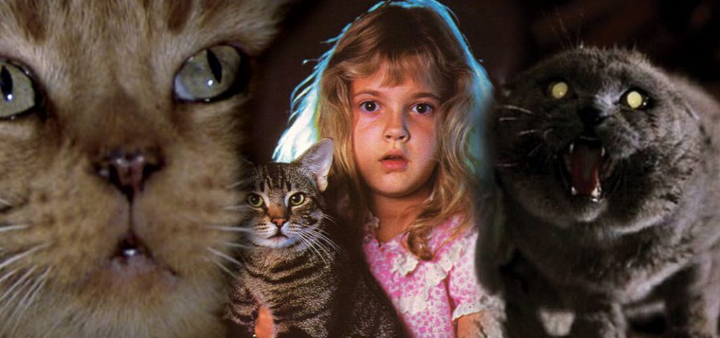 20 of the Best Cats in Horror - Horror Land - The Horror Entertainment ...