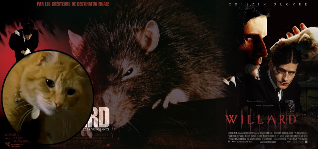 20 of the Best Cats in Horror - Horror Land - The Horror Entertainment ...