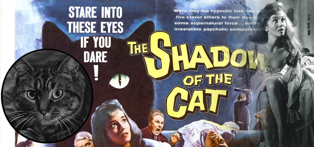 20 of the Best Cats in Horror - Horror Land - The Horror Entertainment ...