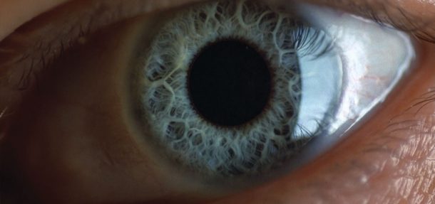 Extreme Close-Up - The Art of Eyes in Film - Horror Land - The Horror ...