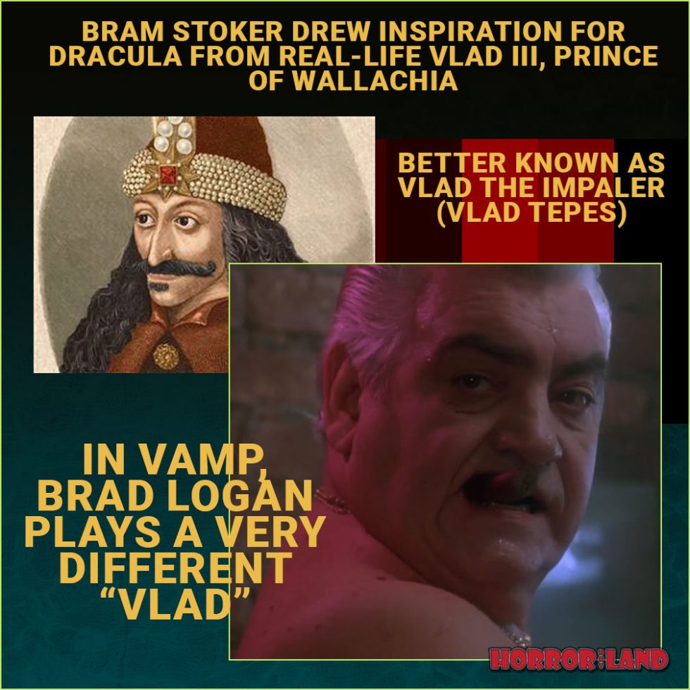 12 FANGtastic References and Details from Vamp (1986) - Horror Land ...